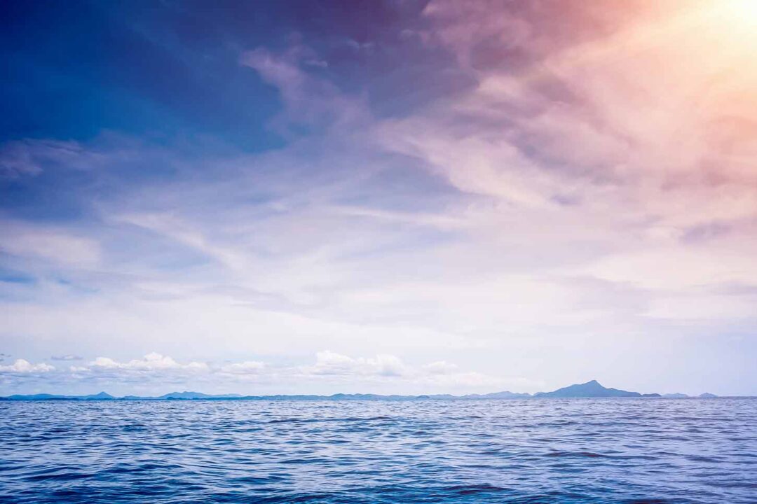 Was passiert im Körper nach dem Tod? (Wissenschaftlich erklärt) - Neptun One